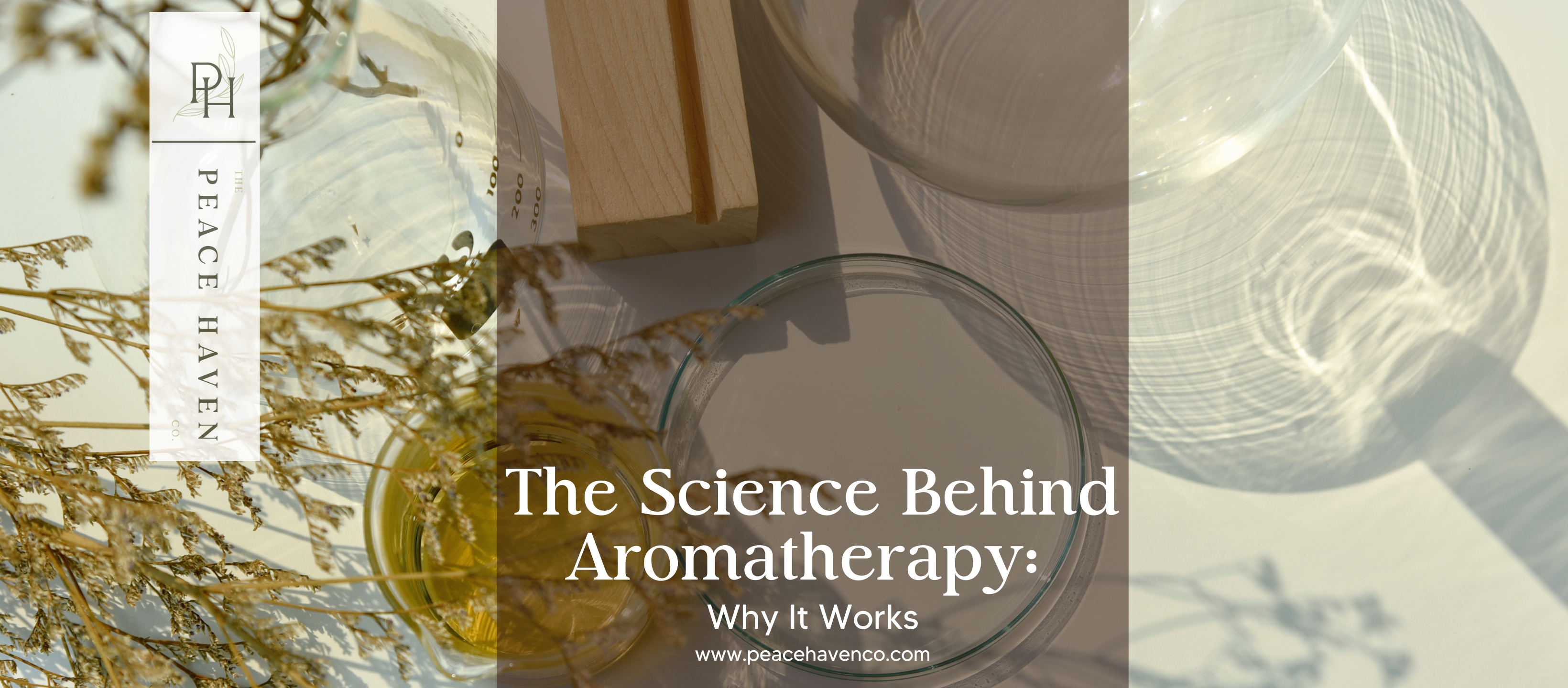 The Science Behind Aromatherapy: Why It Works – Peace Haven Co.